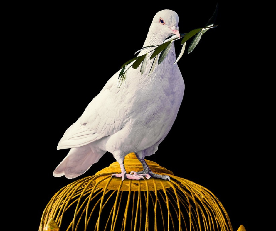 Restrictions or Freedom in Christ? - #Duck for Jesus